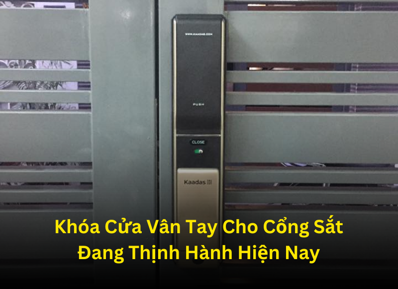 Khóa Cửa Vân Tay Cho Cổng Sắt Đang Thịnh Hành Hiện Nay